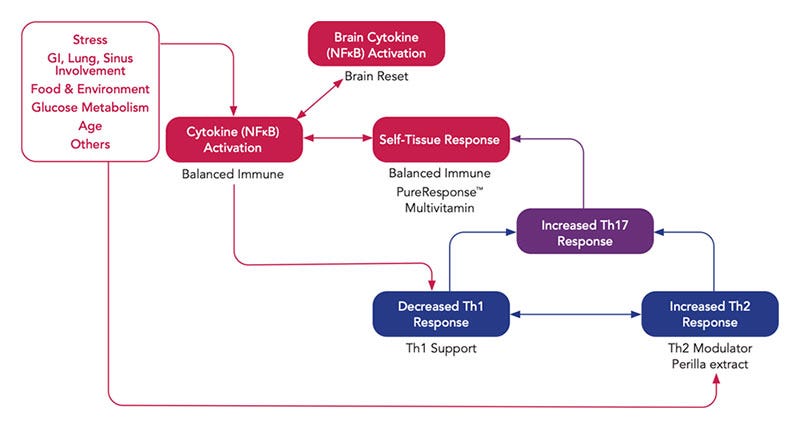 A Three-Step Approach to Immune System Balance: Addressing Self-Tissue ...